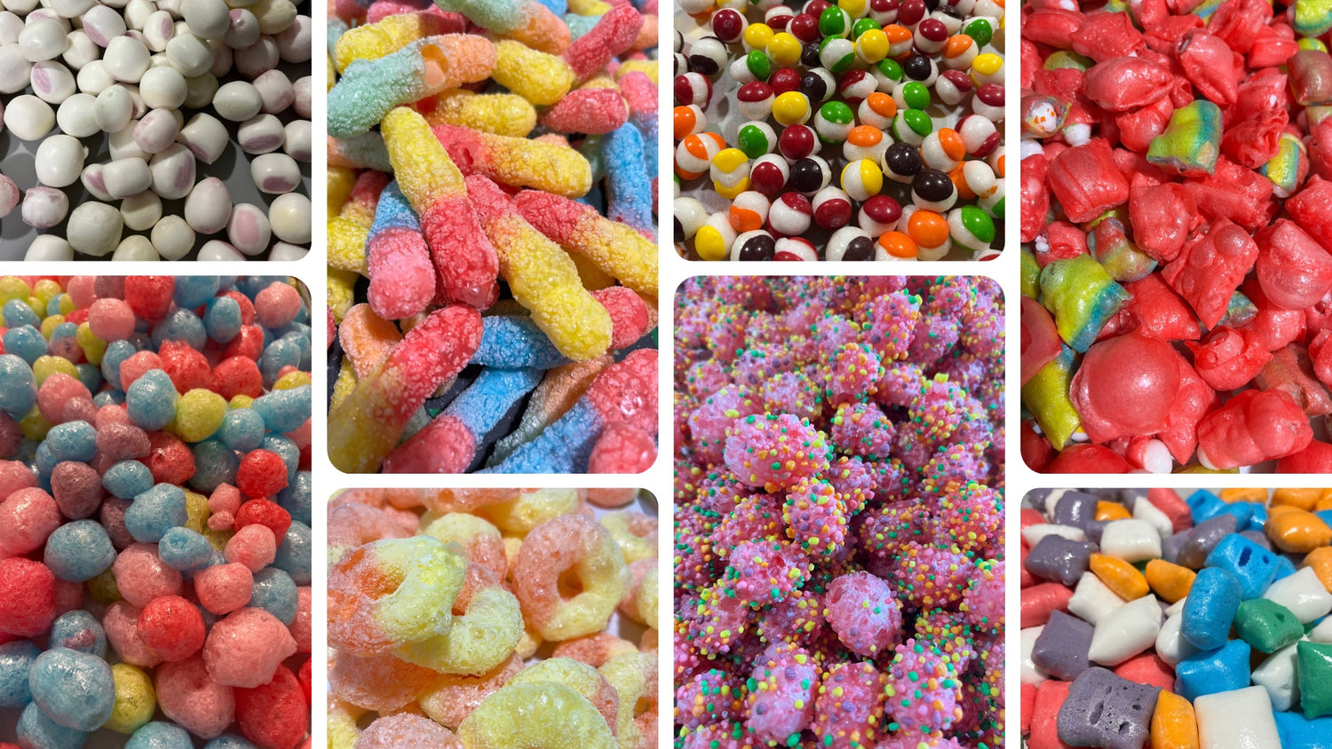 Frosty Nibble Treats